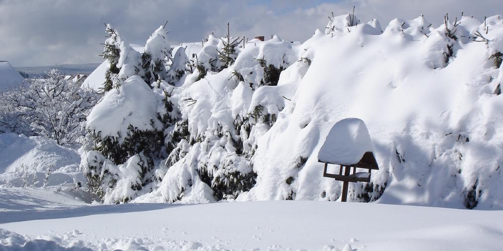 The rooms at Peterle – unique, freshly renovated, inviting.