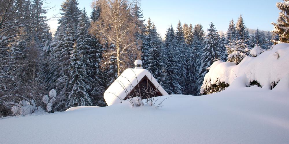 Hotel und Restaurant Peterle in Feldberg im Schwarzwald — Natur pur.
