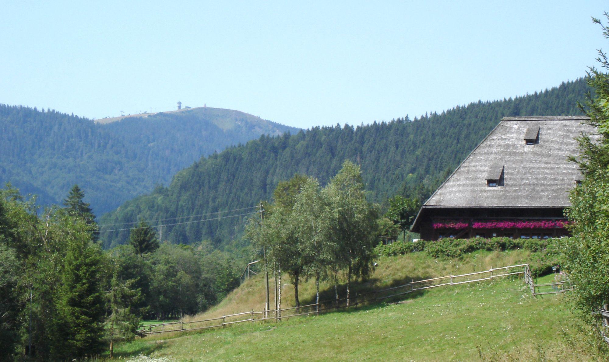 Das Peterle mitten im Hochschwarzwald. Reine Erholung und Natur pur.