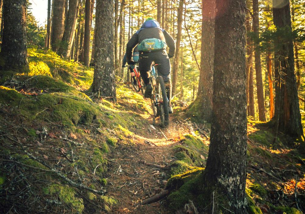 Hotel und Restaurant Peterle in Feldberg im Schwarzwald — Natur pur.