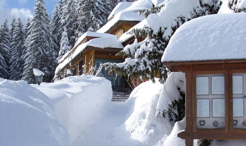 Hotel und Restaurant Peterle in Feldberg im Schwarzwald — Natur pur.