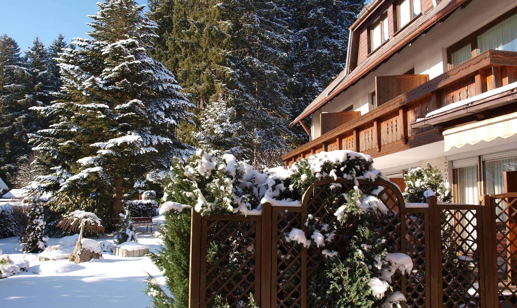 Hotel und Restaurant Peterle in Feldberg im Schwarzwald — Natur pur.